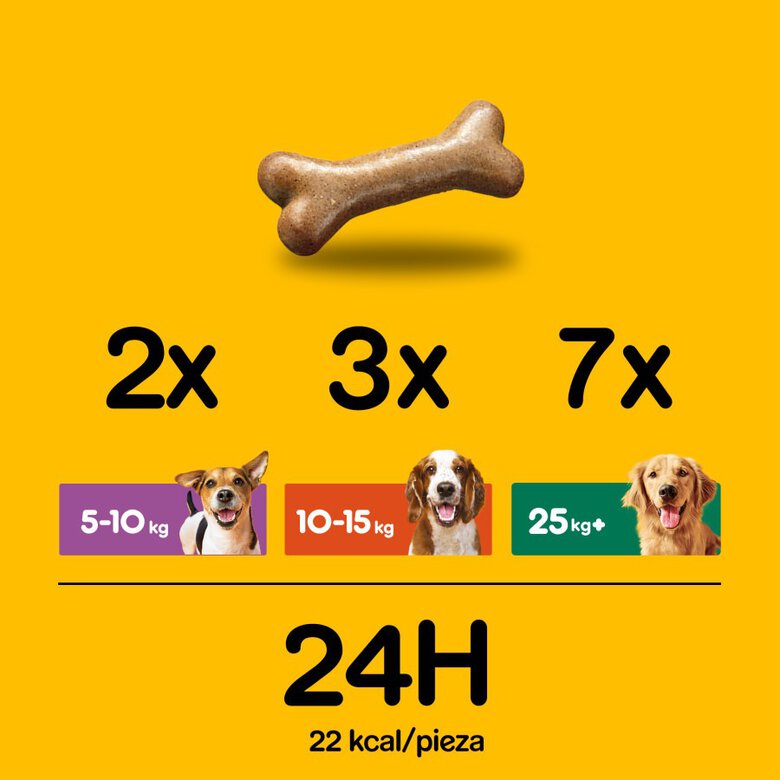 Pedigree Biscoitos Biscrock de 3 Sabores para Cães | Tiendanimal