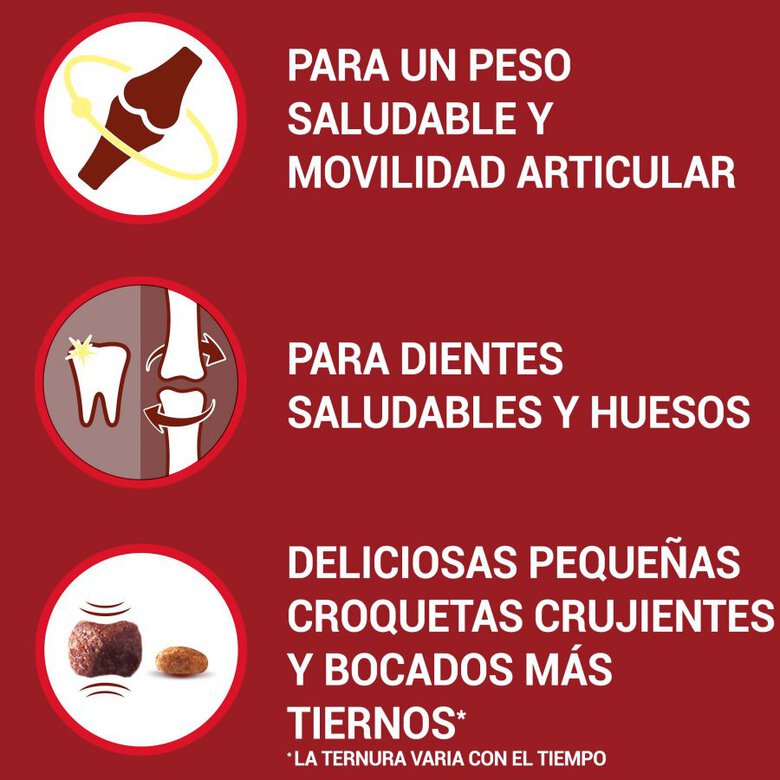 Purina One Senior 8+ Mini ração para cães | Tiendanimal