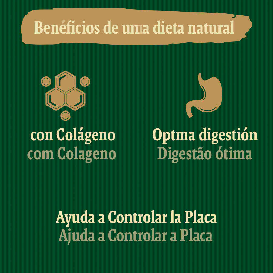 1 ud. True Origins Wild Dental Care Chewing Sticks Snack para perros ...