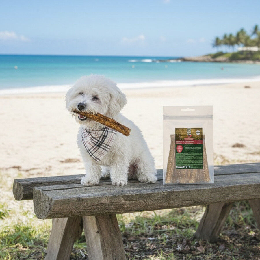 True Origins Salsichas de Frango Snack para cães | Tiendanimal