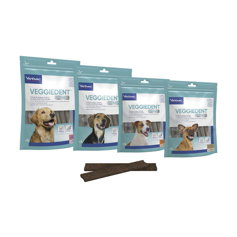 Snack dental vegetariano VeggieDent Fresh | Tiendanimal