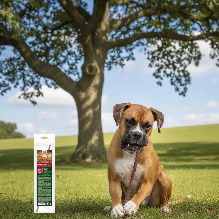 True Origins Nervo de Touro Snack para cães | Tiendanimal