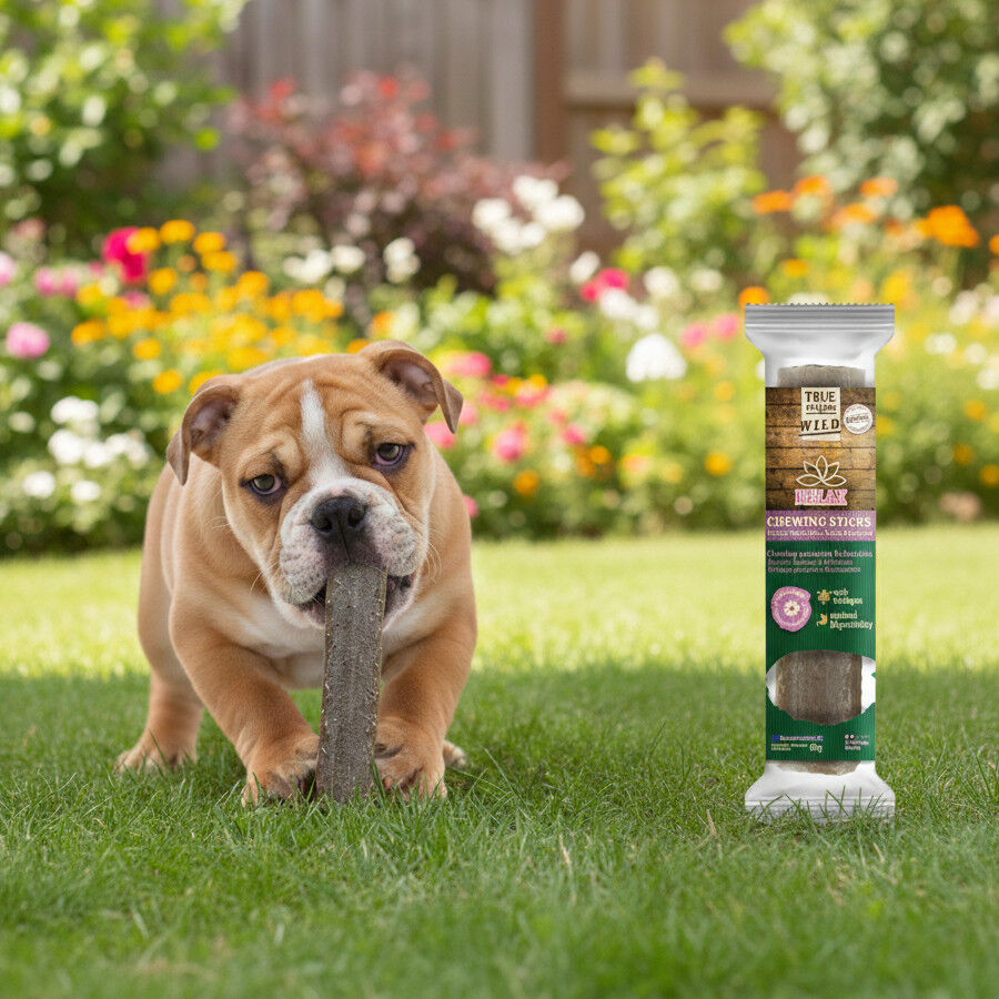 1 ud. True Origins Wild Relax Chewing Sticks Snack para cães | Tiendanimal