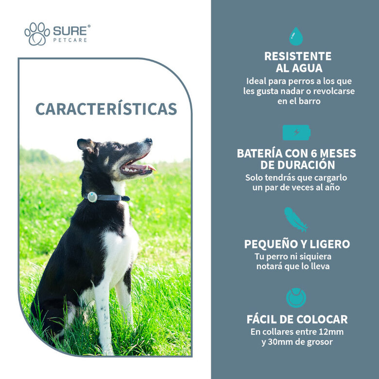 Sure Petcare Animo Monitor comportamental para cães | Tiendanimal