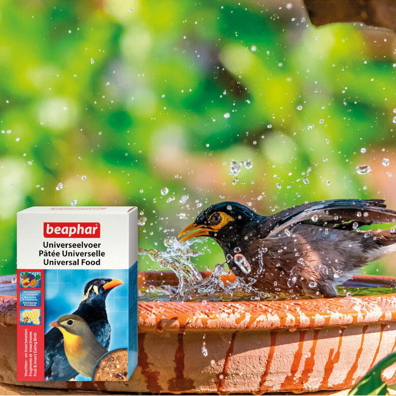 Beaphar Universal Food pasta para pássaros | Tiendanimal