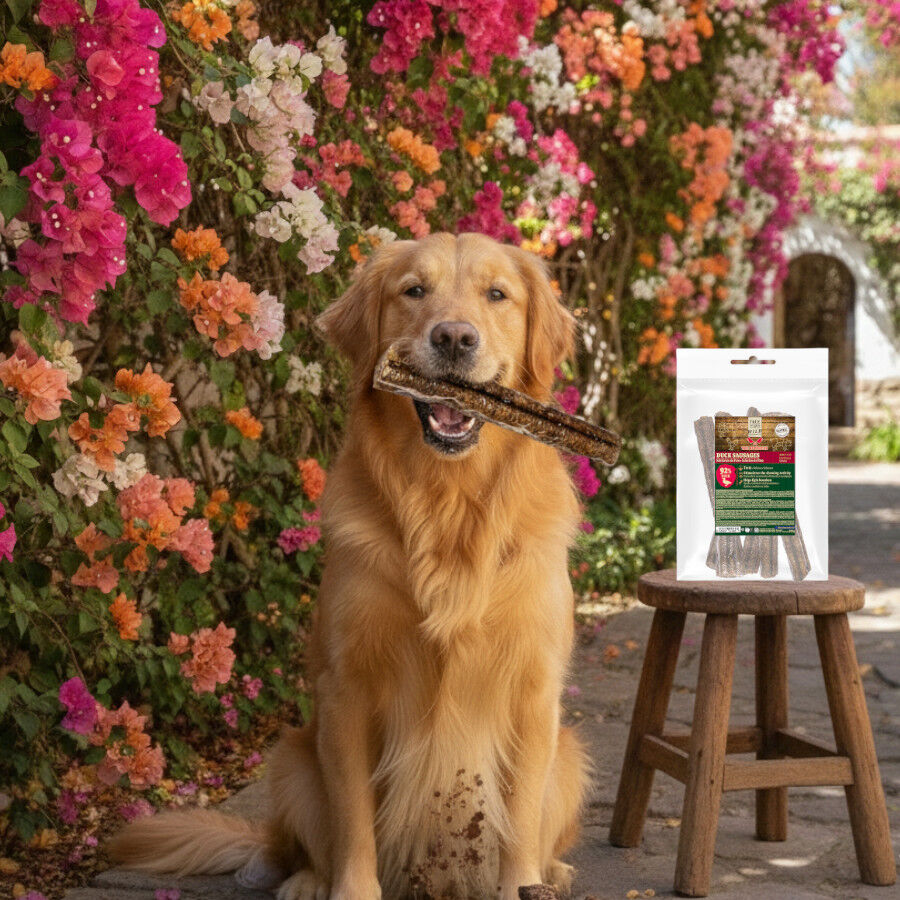 True Origins Salsichas de Pato Snack para cães | Tiendanimal