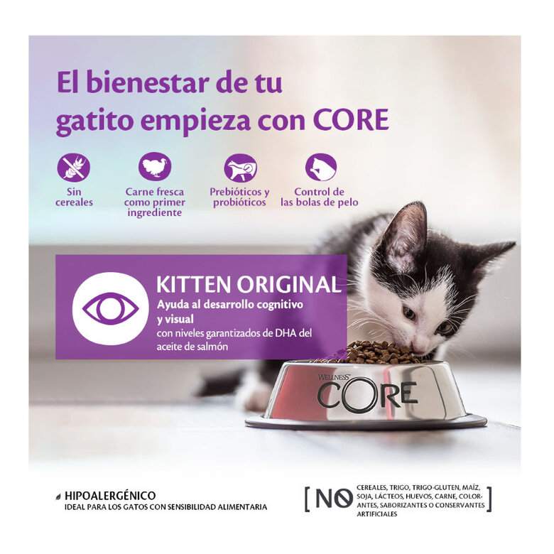 Wellness Core Kitten Peru e Frango ração para gatos | Tiendanimal