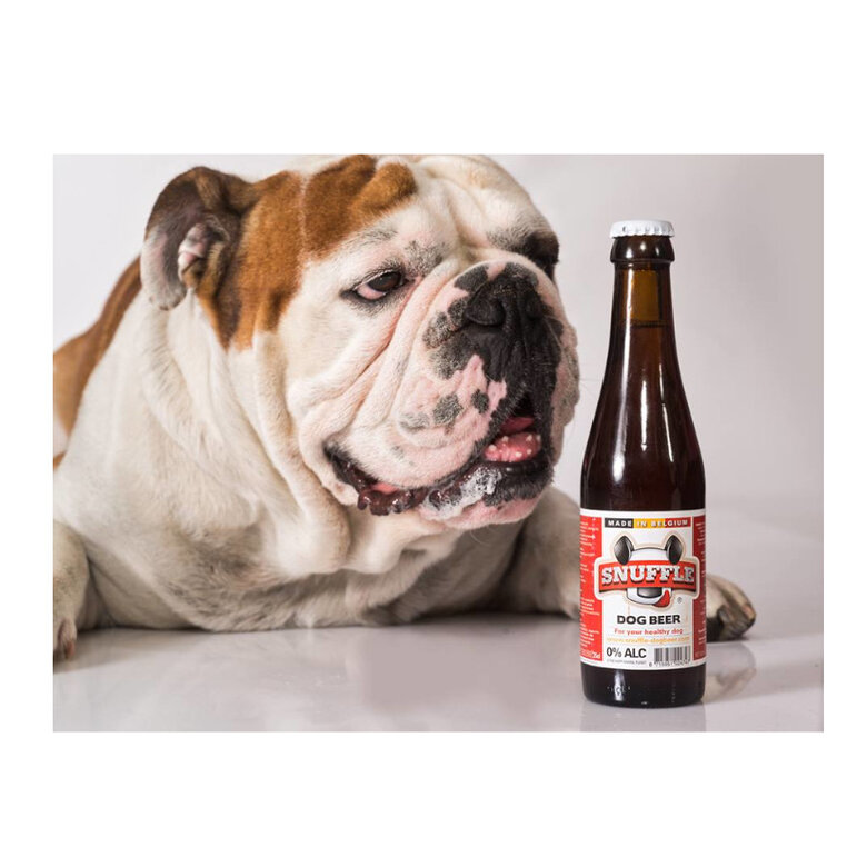 Snuffle Garrafa de Cerveja para cães | Tiendanimal