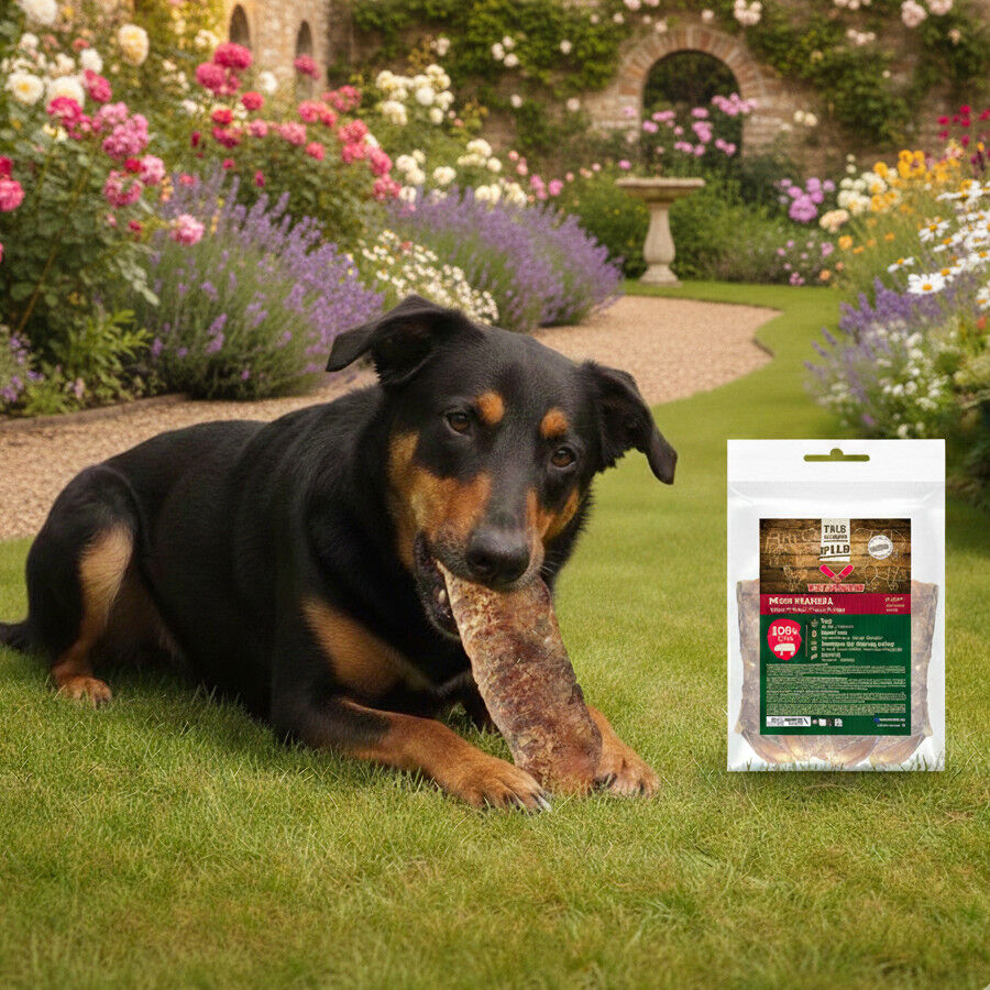 True Origins Wild Tráquea Cerdo Snack para perros | Tiendanimal