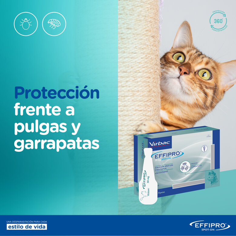 Effipro Pipetas Antiparasitárias para gatos | Tiendanimal